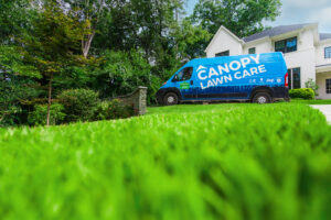 Services - Canopy Lawn Care