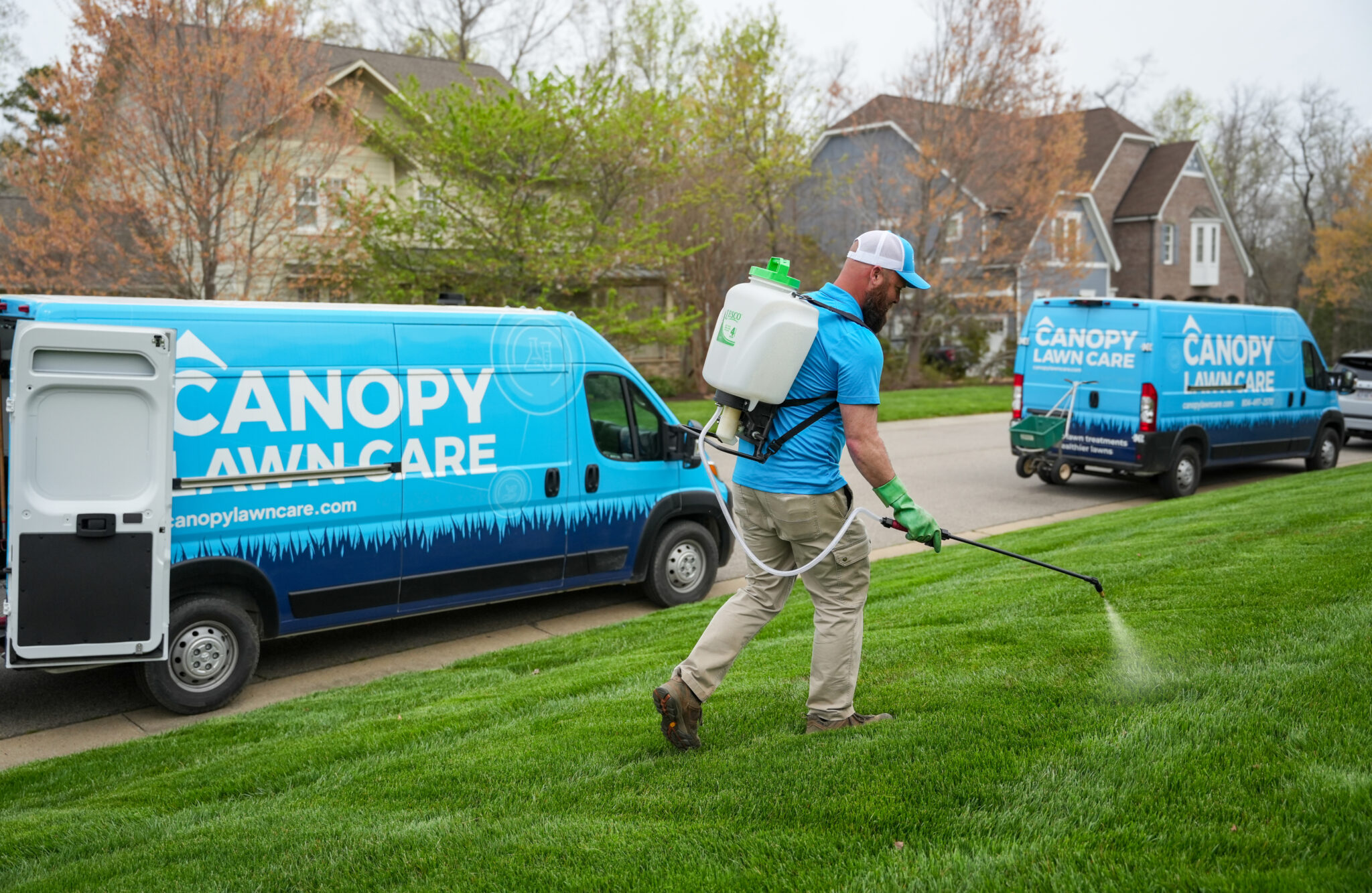 Disease Control | Canopy Lawn Care of Pocatello