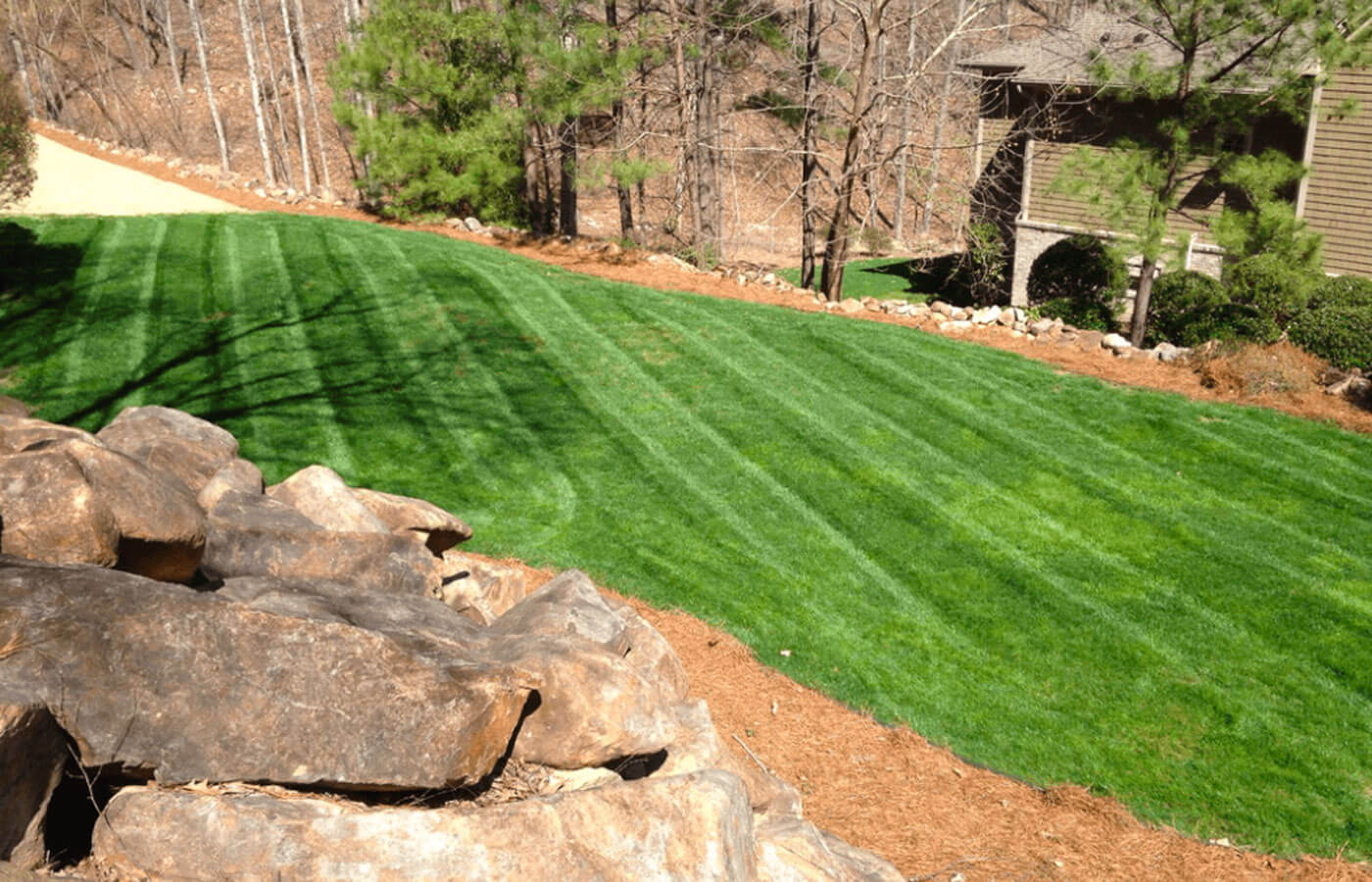 Natural Weed Control For Your Lawn - Canopy Lawn Care