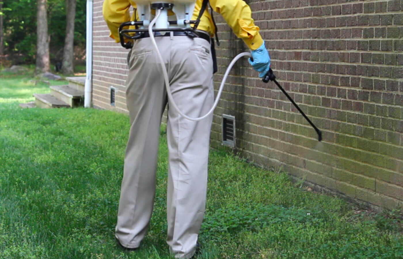 How effective are mosquito control services? - Canopy Lawn Care
